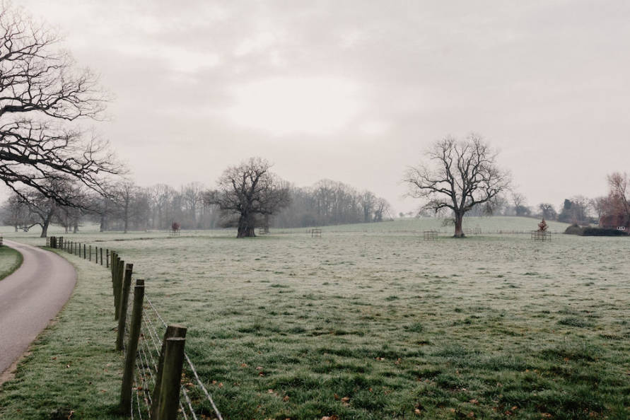 Wasing Park Winter Wonderland | Guides for Brides