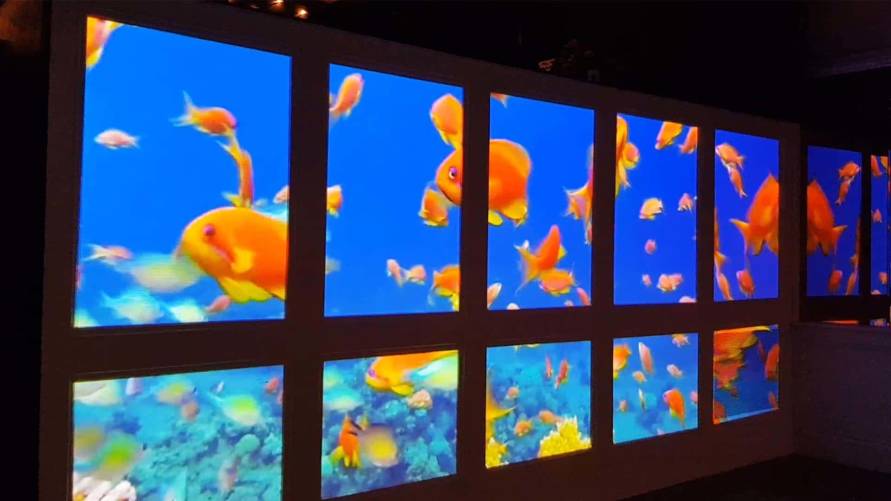 5 projection mapping ideas for weddings | Guides for Brides